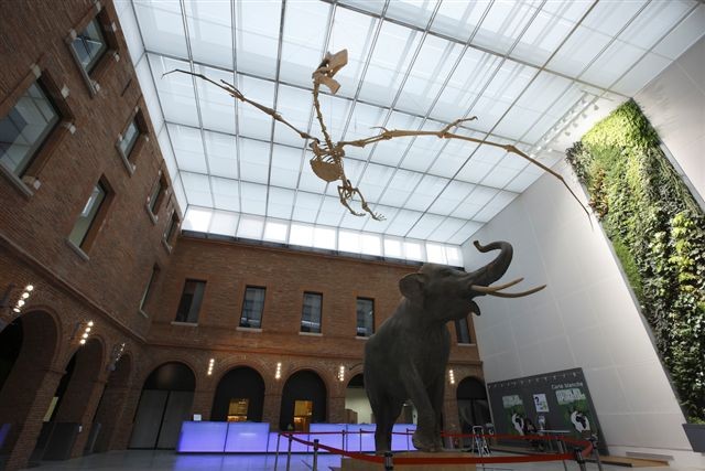 Acoustics: Absorbent vs Transparent | Building Specification